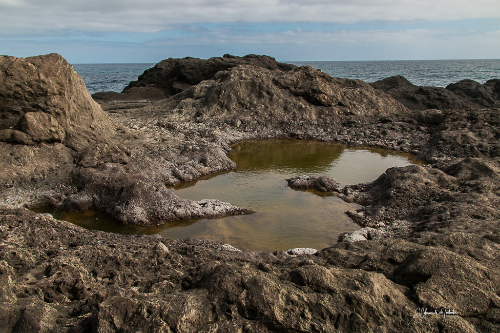 Ruta Charcos Naturales Punta de Sardina Costa de Gáldar (Agosto 2020 ...