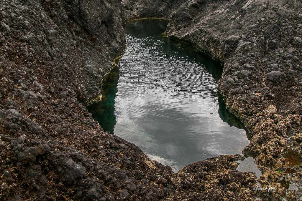 Ruta Charcos Naturales Punta de Sardina Costa de Gáldar (Agosto 2020 ...