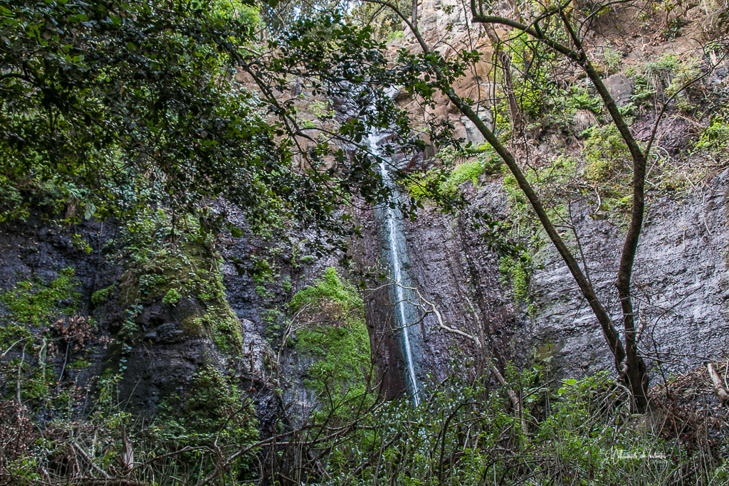 El Bosque Encantado Otoño 2020 Valleseco Gran Canaria – Isla de Gran ...