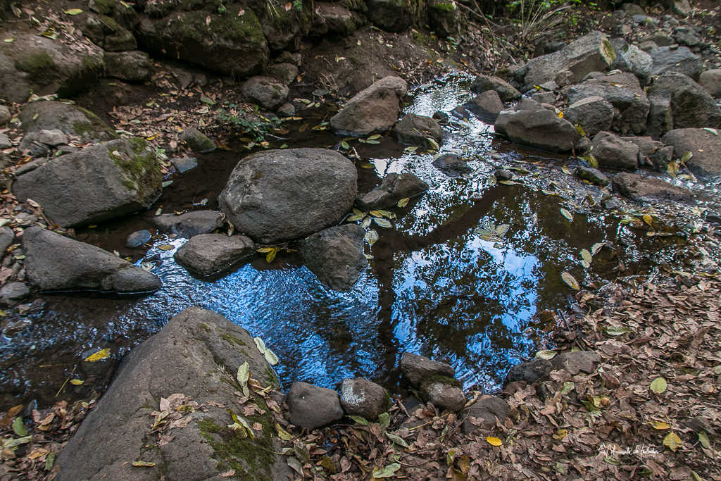 El Bosque Encantado Otoño 2020 Valleseco Gran Canaria – Isla de Gran ...