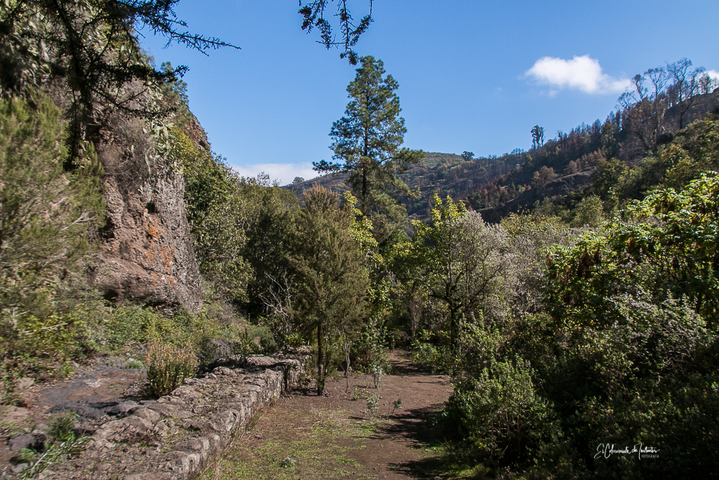 Sendero El Anden Valleseco Gran Canaria Otoño 2020 – Isla de Gran Canaria