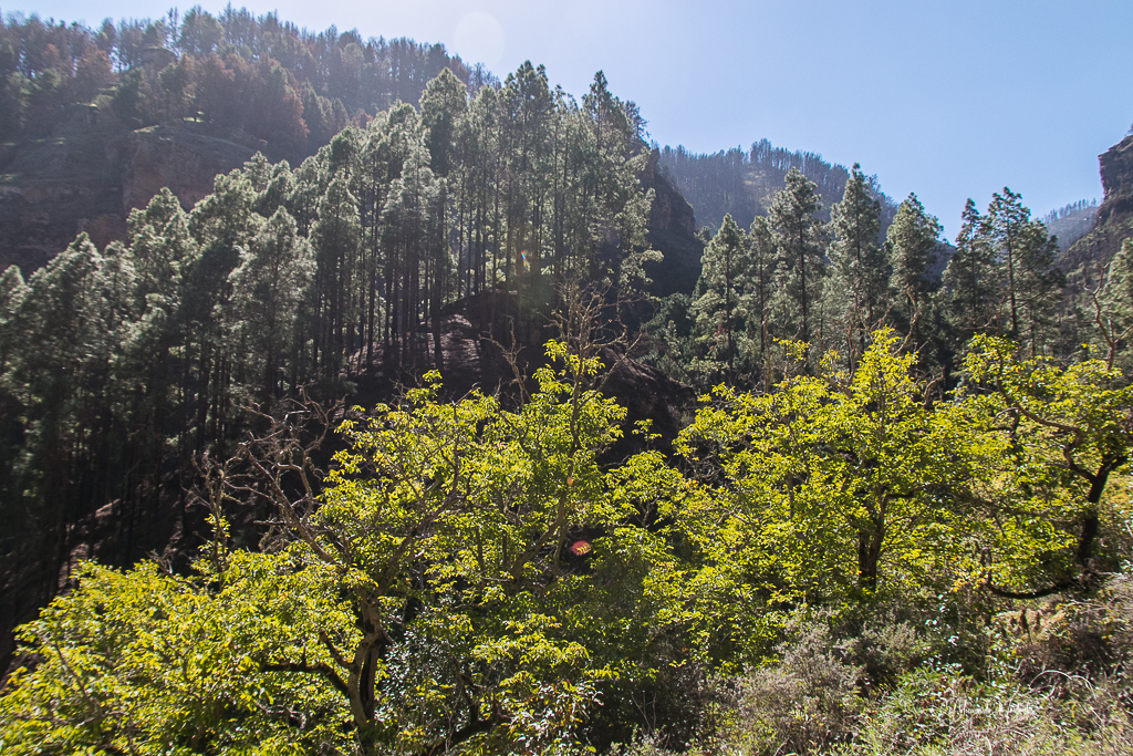 Sendero El Anden Valleseco Gran Canaria Otoño 2020 – Isla de Gran Canaria