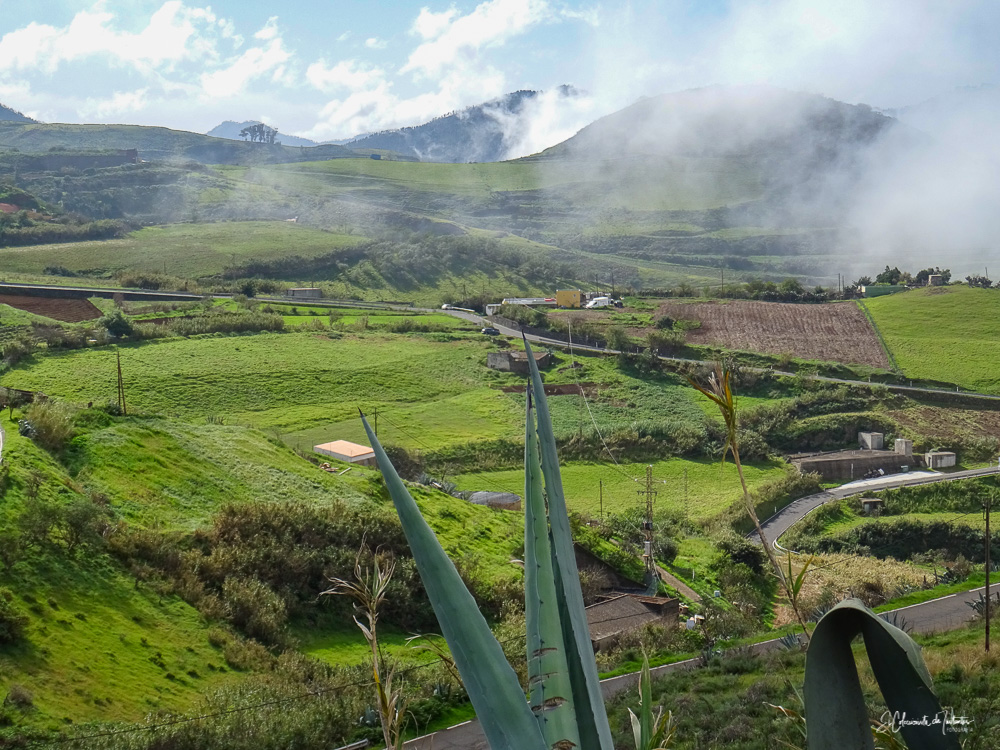 Ruta La Irlanda Verde de Gran Canaria – Fagajesto – Lomo El Palo ...