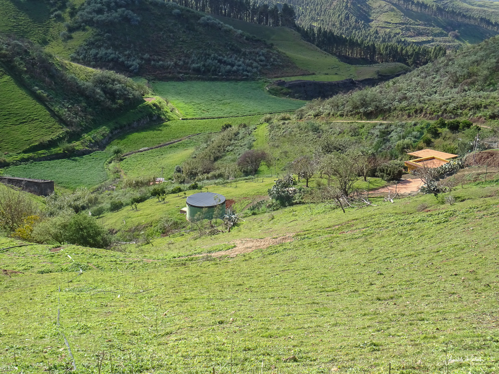 Ruta La Irlanda Verde de Gran Canaria – Fagajesto – Lomo El Palo ...