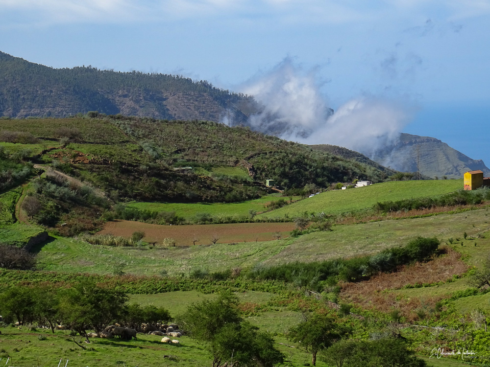 Ruta La Irlanda Verde de Gran Canaria – Fagajesto – Lomo El Palo ...