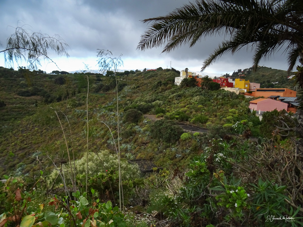 Ruta Fotográfica Paisajística – Borde Caldera Bandama – Gran Canaria ...