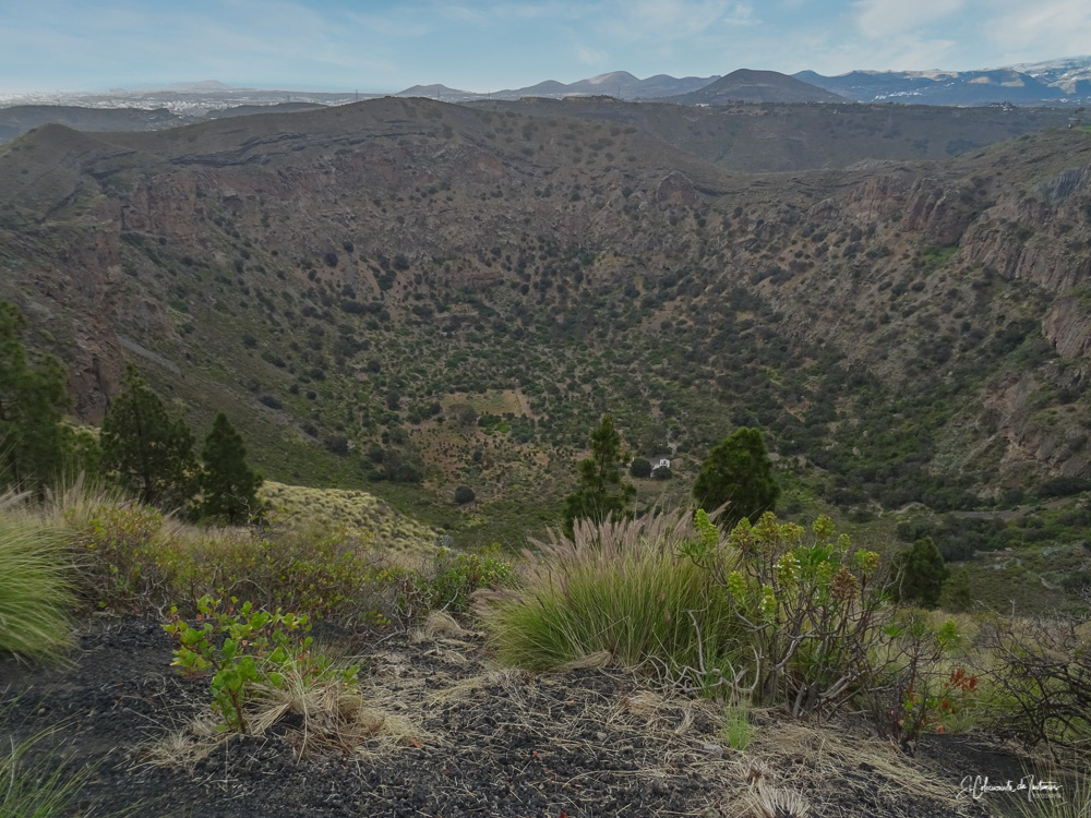 Ruta Fotográfica Paisajística – Borde Caldera Bandama – Gran Canaria ...