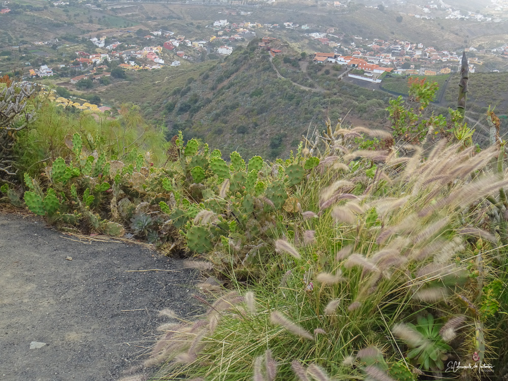 Ruta Fotográfica Paisajística – Borde Caldera Bandama – Gran Canaria ...