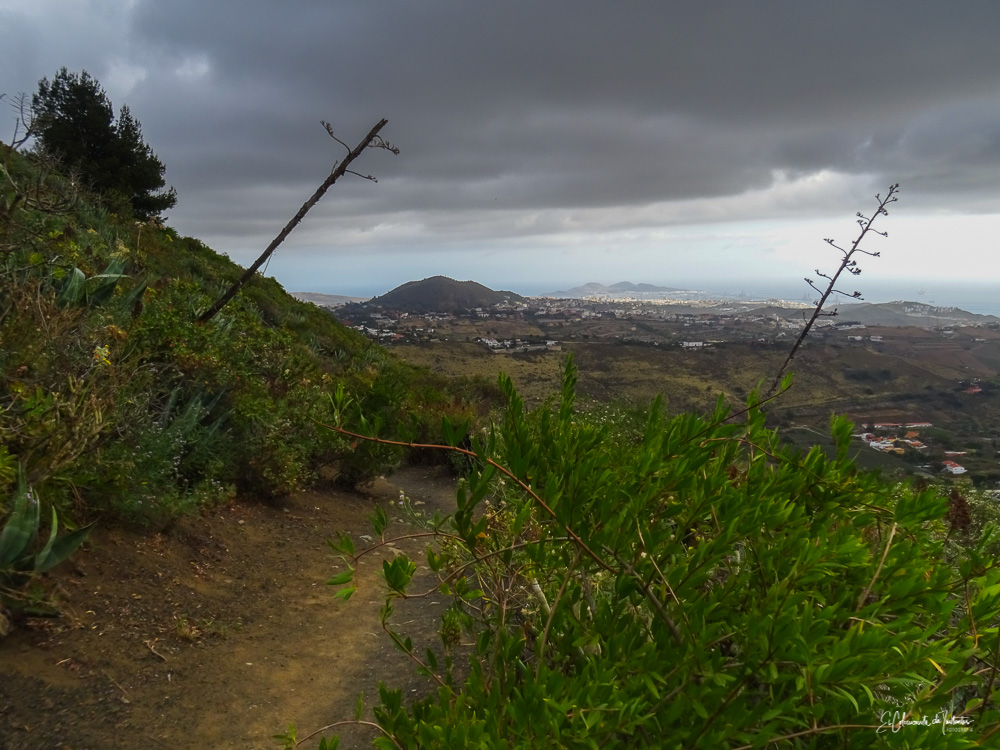 Ruta Fotográfica Paisajística – Borde Caldera Bandama – Gran Canaria ...