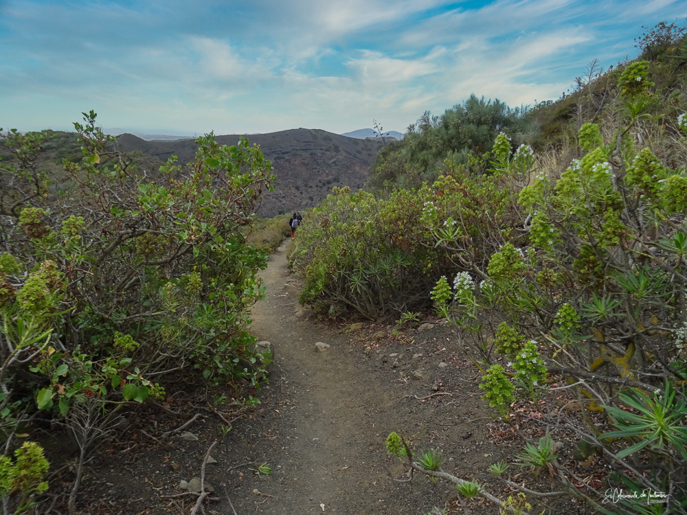 Ruta Fotográfica Paisajística – Borde Caldera Bandama – Gran Canaria ...