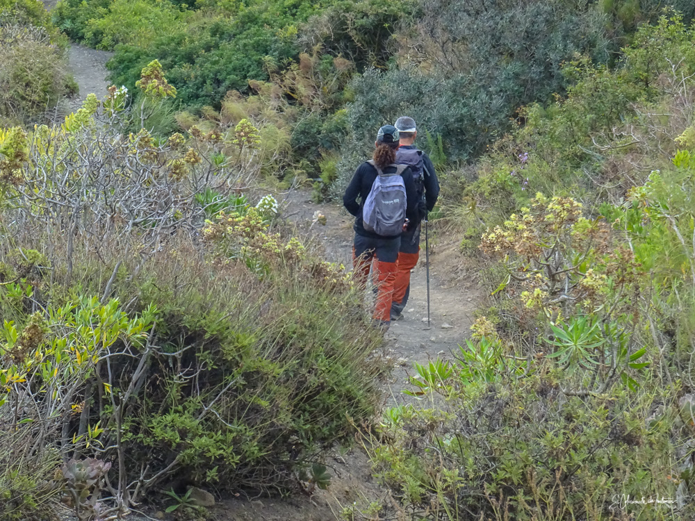 Ruta Fotográfica Paisajística – Borde Caldera Bandama – Gran Canaria ...