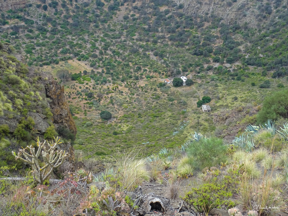 Ruta Fotográfica Paisajística – Borde Caldera Bandama – Gran Canaria ...