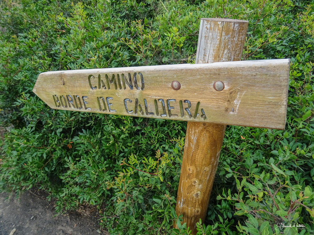 Ruta Fotográfica Paisajística – Borde Caldera Bandama – Gran Canaria ...